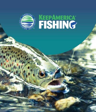 Current Issues - ASA